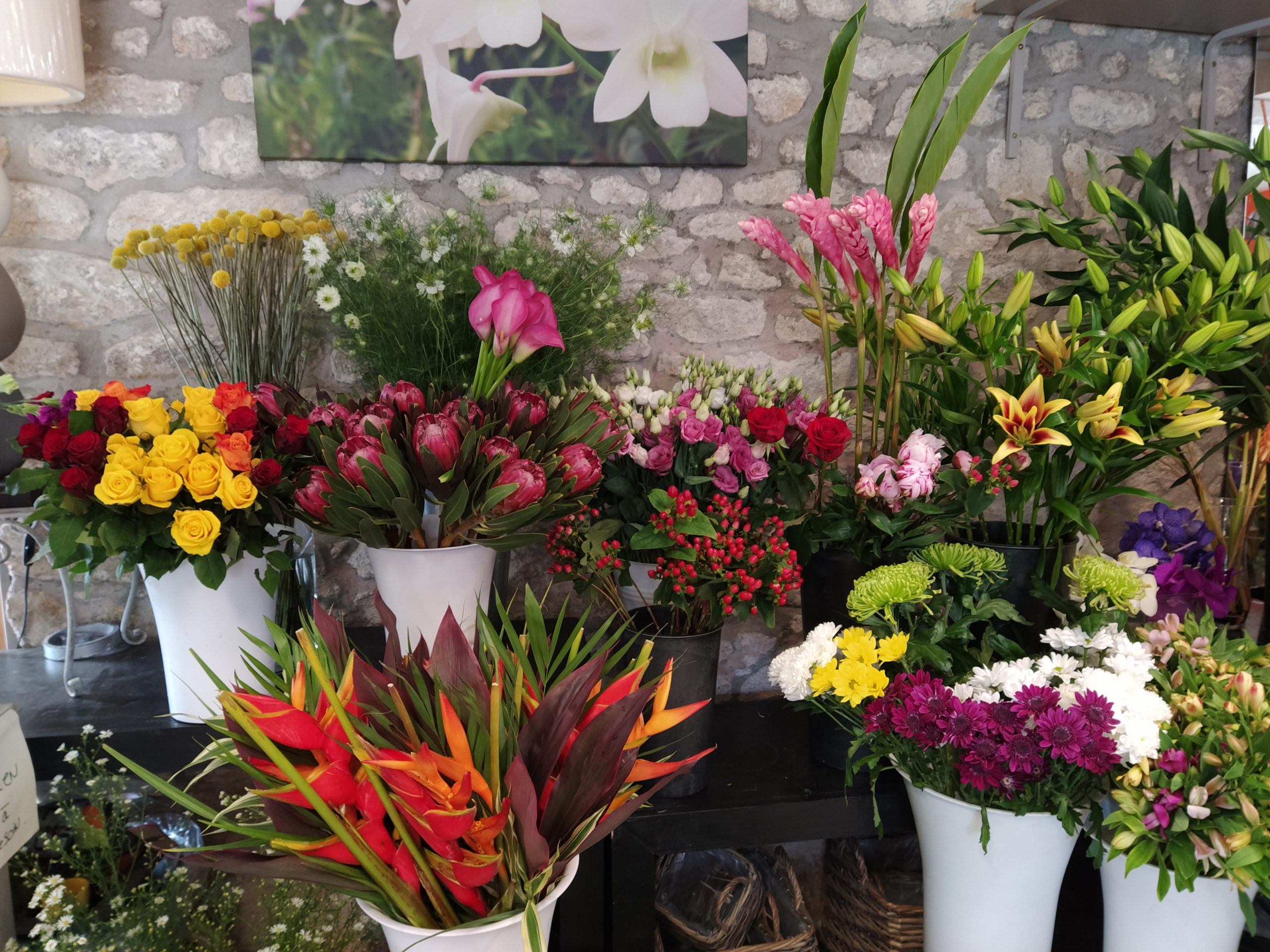 A l'intérieur - Églantine